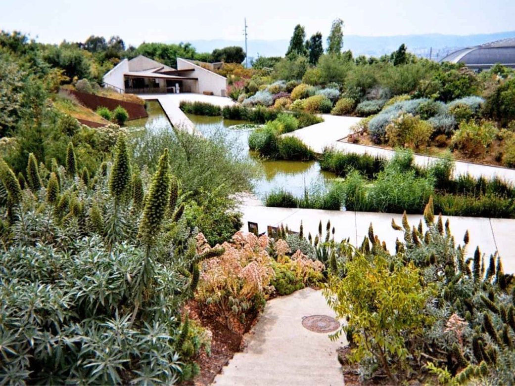 Botanic Garden Barcelona: What to See & Why It’s Worth Visiting